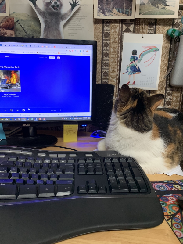 Exploding Blueberries – Kathy Nida